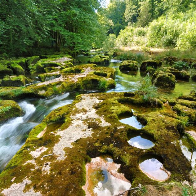 Les Gorges de l’Orbe - Tourisme Nord vaudois
