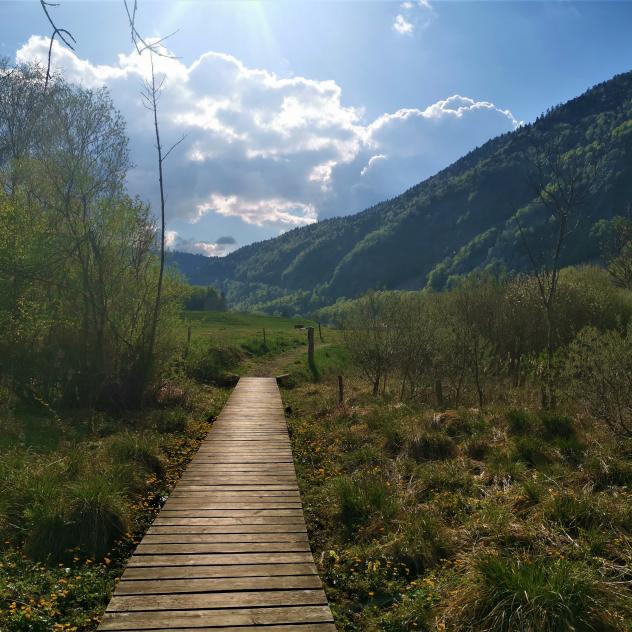 Grand Morcel educational trail - Northern Vaud Tourism